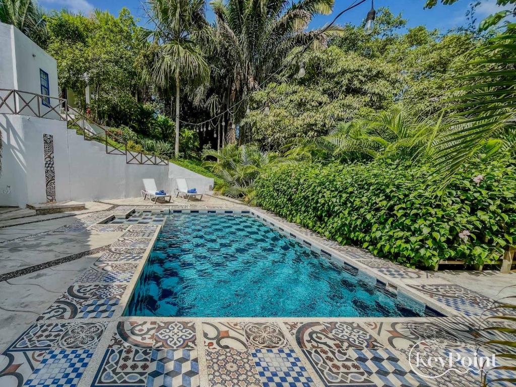 New KeyPoint Retirö Natural Palomino!, Palomino (ažurirane cene za 2026 ...