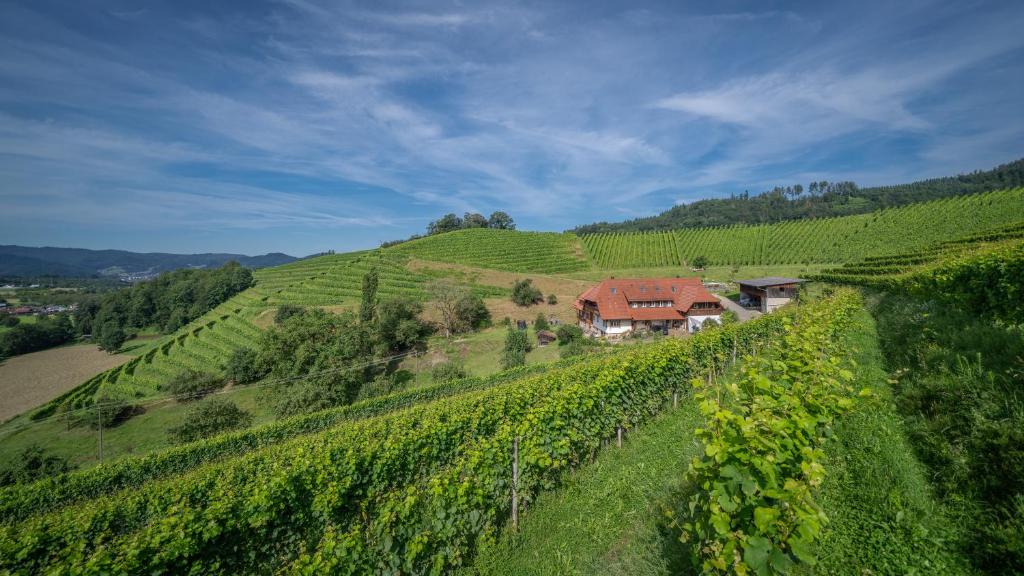 Winzerhof Armbruster, Gengenbah (ažurirane cene za 2026. godinu)