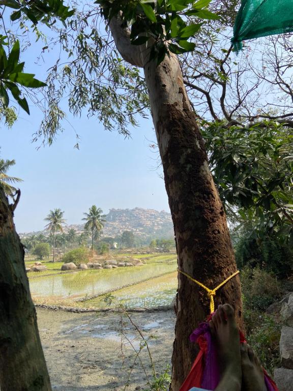 Hampi Nature Cottage, Hampi (preços atualizados para 2026)
