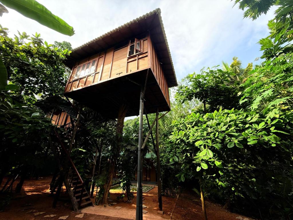 Tree House Mirissa, Mirissa (preços atualizados de 2026)