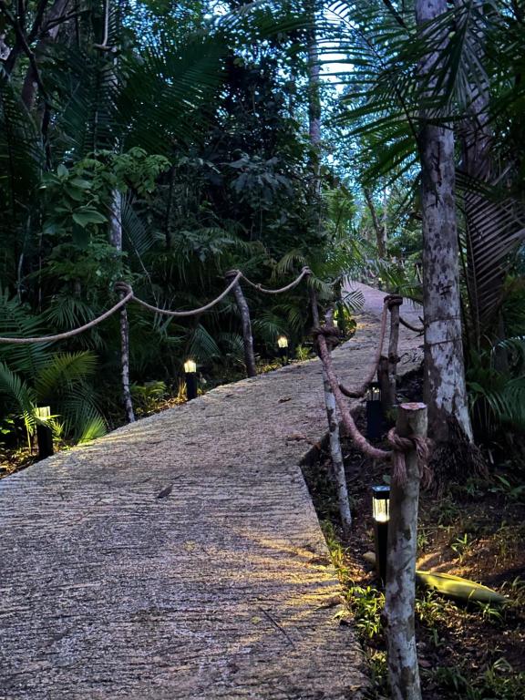 Anora Eco-Resort Siquijor, Lazi (precios actualizados 2026)