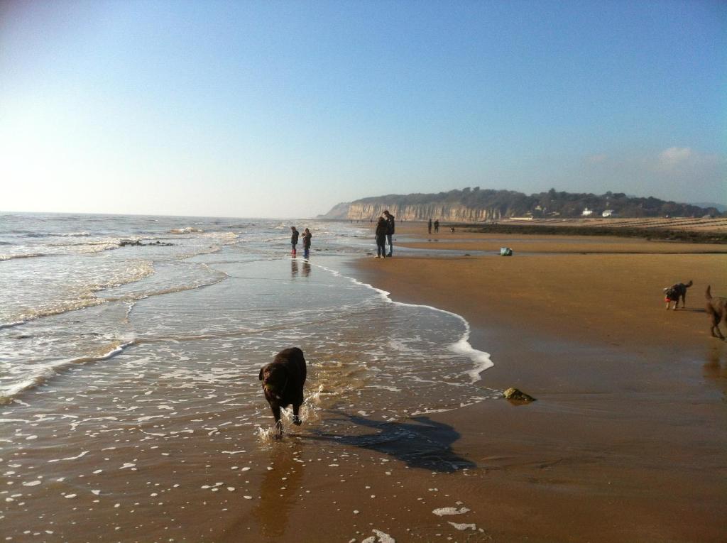 Pett Level Beach House, Pett (updated prices 2026)