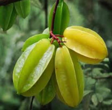 Moksha Farm Stay, Edappāl (prețuri actualizate 2026)