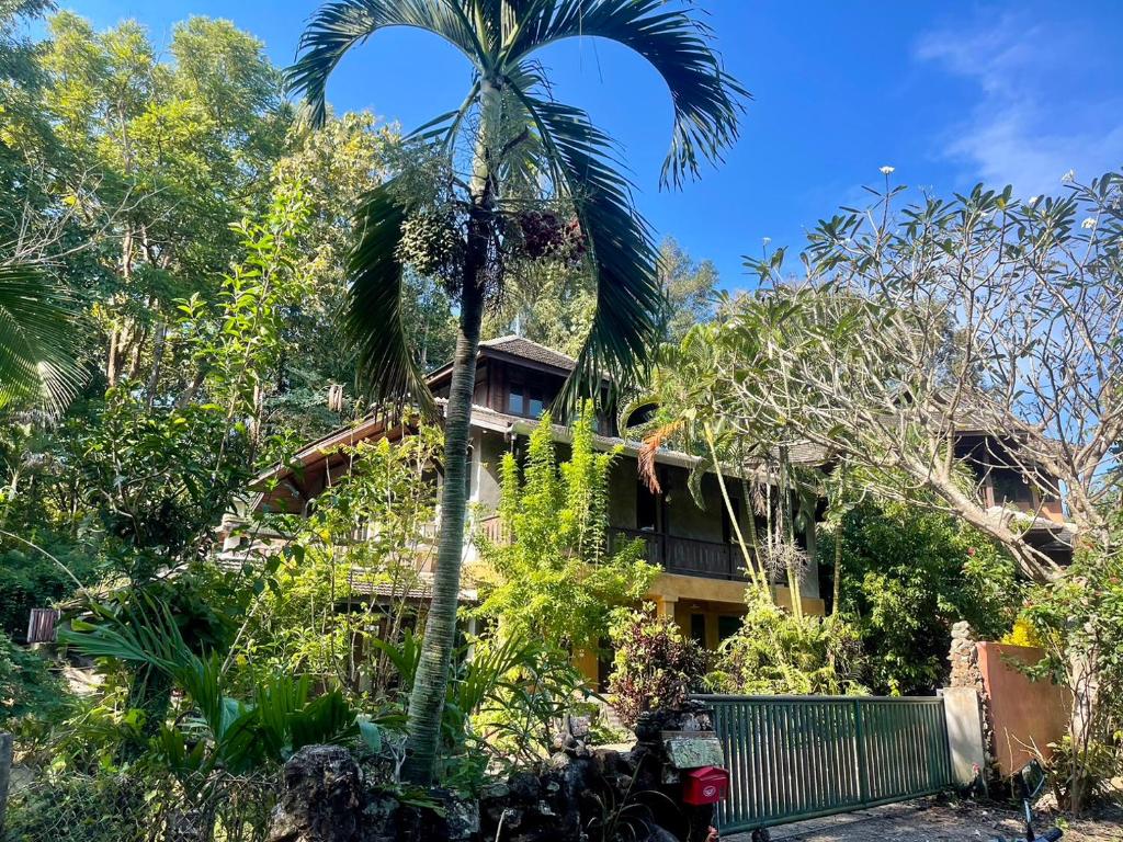 Rice n' Retreat Homestay, Ban On Luai (opdaterede priser for 2026)