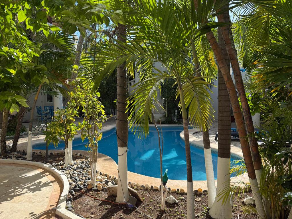 Blue angel 9 a pasos de la 5 Av y la playa, Playa del Carmen ...