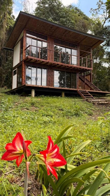 Chiraco cabins native jungle, La Vega (precios actualizados 2026)