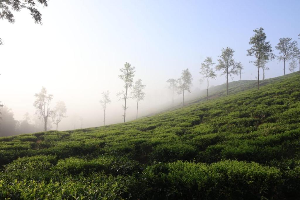 Cinnamon Trails plantation bungalow، كالباتّا (أسعار محدثة لعام 2026)