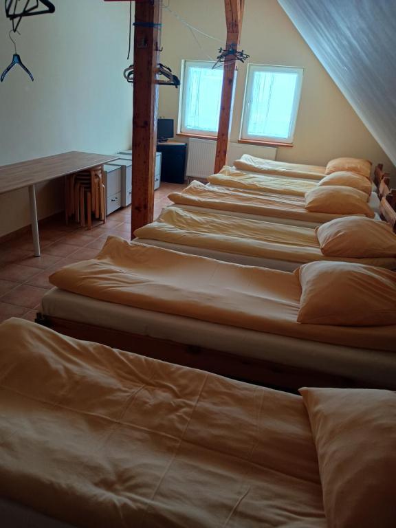 Bida z Nędzą, Duszniki Zdrój (preus actualitzats el 2026)