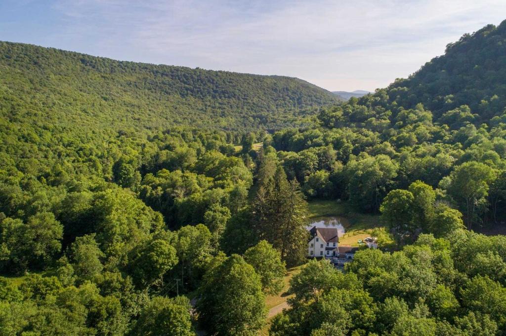 Prime Catskills 172acr LuxRiver Estates-Nature Reserver POOL-SUANA ...