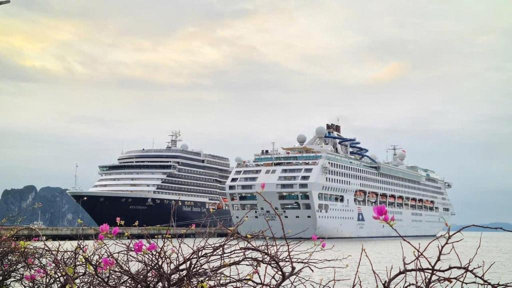 Homestay cao cấp, Ha Long (nove cijene za 2026.)