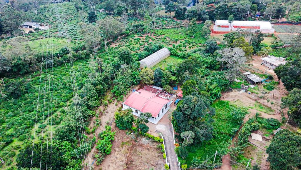 Wintop Holiday Bungalow & Eco Farm, Nugatalawa (preços atualizados 2026)