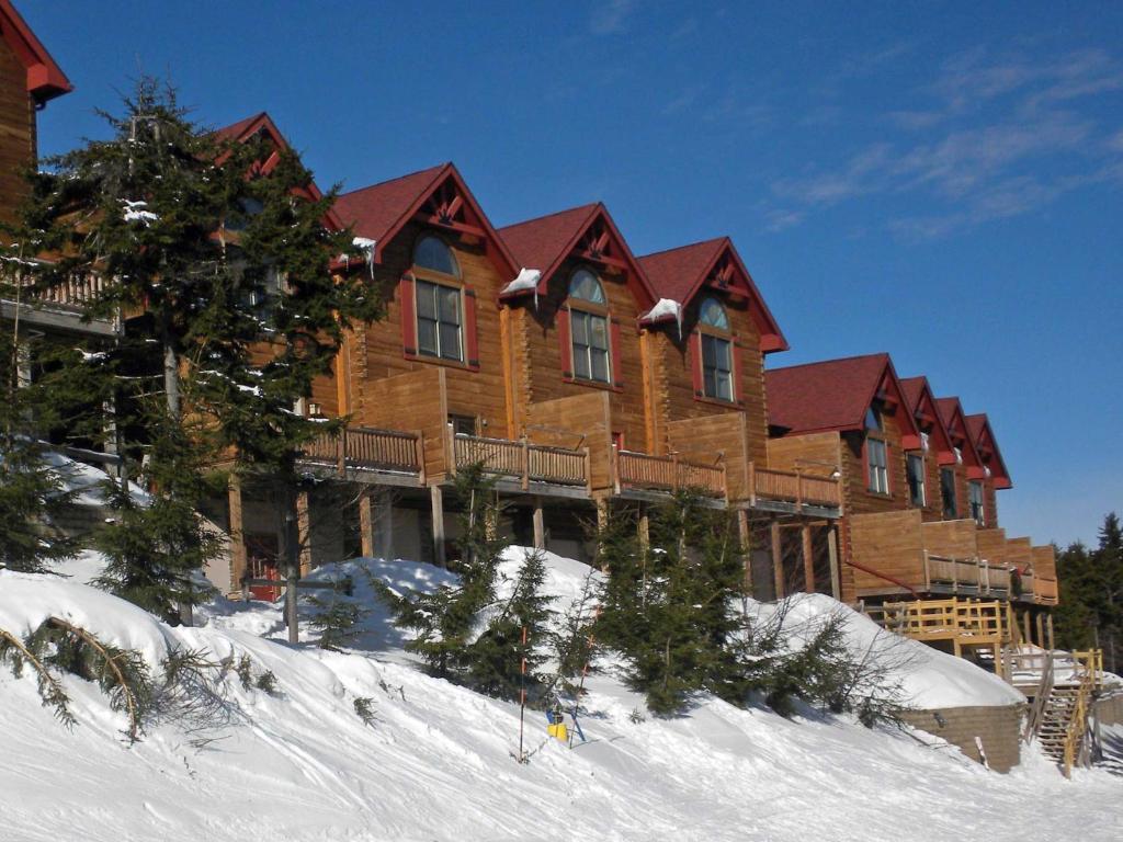Loggers Run #8: 5 Bedrooms, 35 Baths, Snowshoe (precios actualizados 2026)