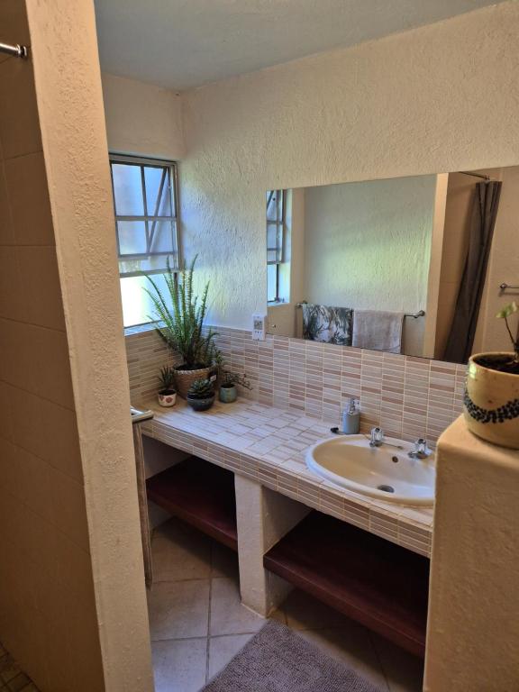 白河的The Macadamia Nut Farm House（2026 年最新房價）