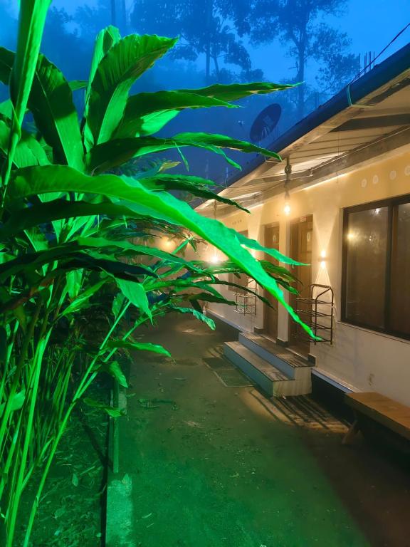 Vagamon Bike Riders Couple stay Farm House, Vagamon (2026 güncel fiyatları)