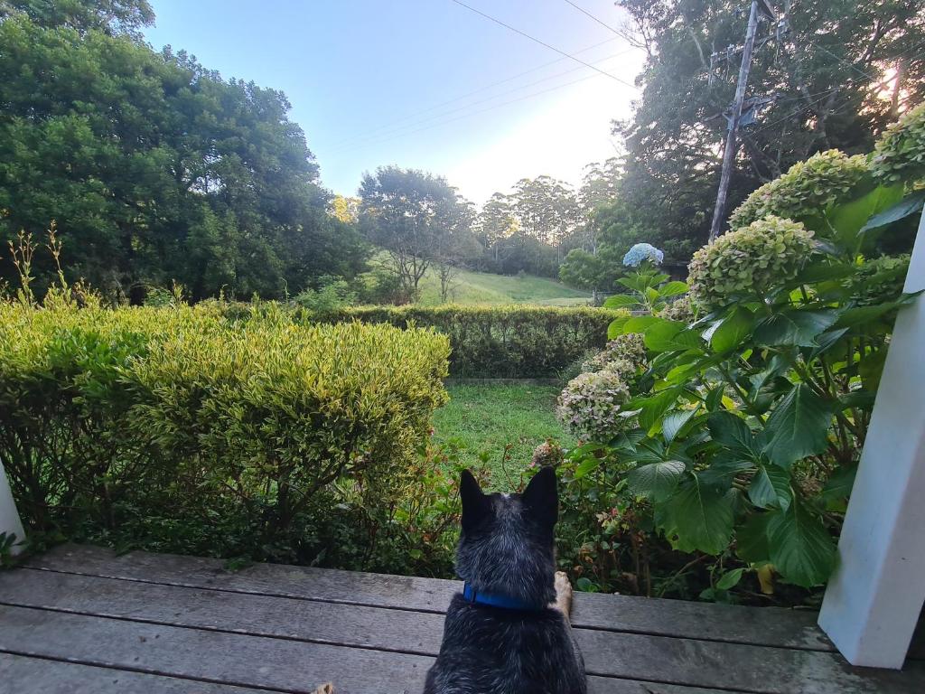 Blue Hills Cottage, Upper Lansdowne (updated prices 2026)