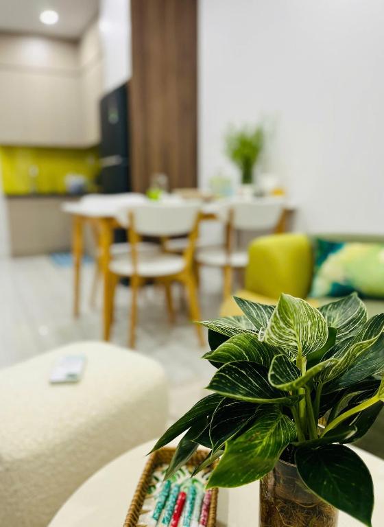 Livahome - Bcons City Lux homestay Di An HCMC, Dĩ An (aktualisierte ...