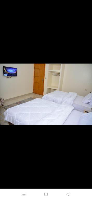 Ra ankh pyramid inn, Cairo (prețuri actualizate 2026)