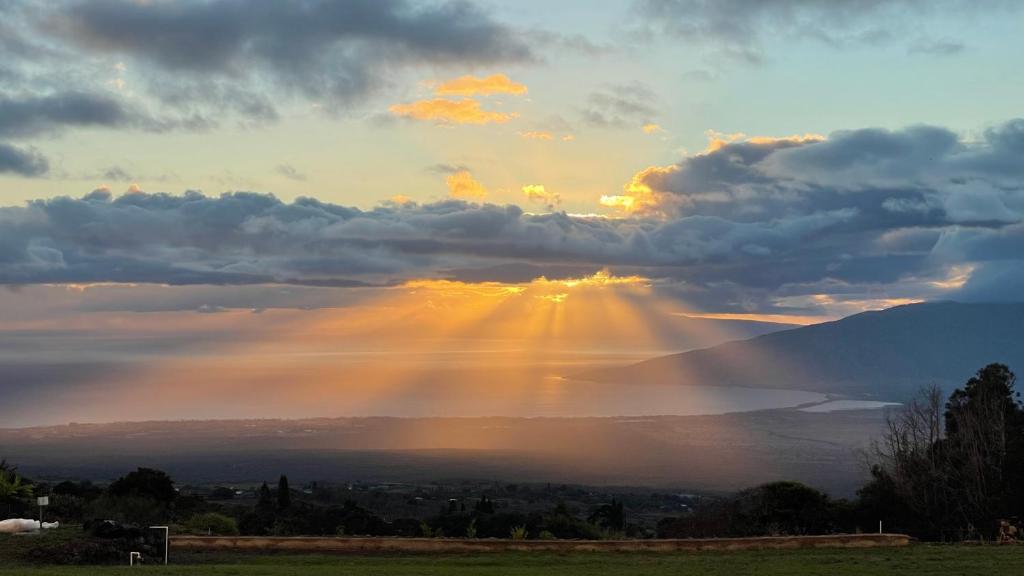 Maui Bird House, Kula (aktualisierte Preise für 2026)