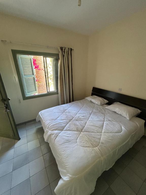 Cozy flat by the sea with big pool tourist area, Limasol (ažurirane ...