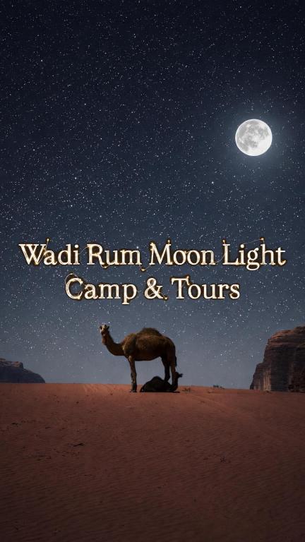 Wadi Rum Moon Light, 와디 럼 (2026년 최신 요금)