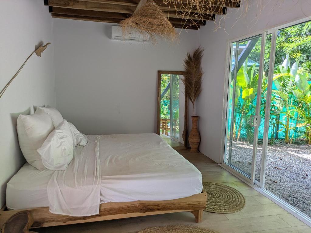 Crystal Jungle, Hone Creek (preços atualizados para 2026)