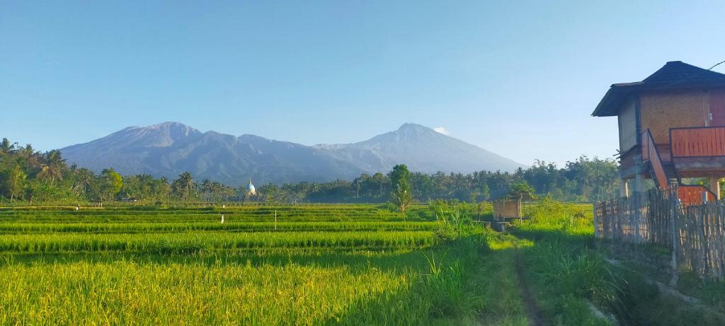 特特巴圖的SKY SUNSET BUNGALOWS AND Restaurant（2026 年最新房價）