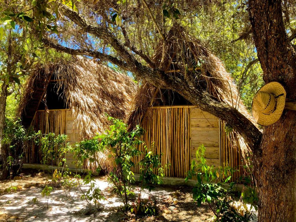 Muluk Grove Lodge, Placencia (precios actualizados 2026)