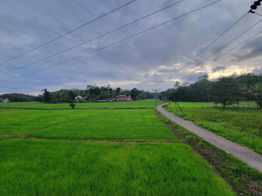 Royal Gest House, Weligama (updated prices 2026)