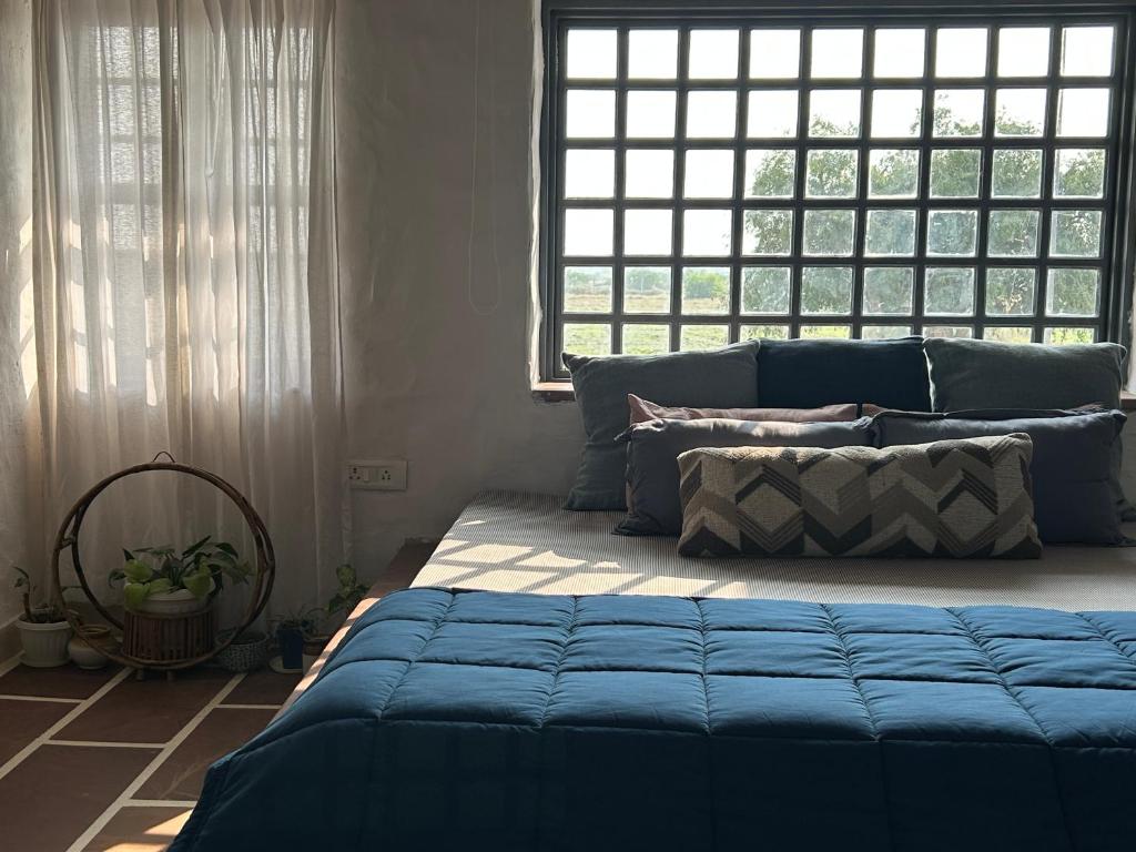 Dhora, Jāmb (prezzi aggiornati per il 2026)