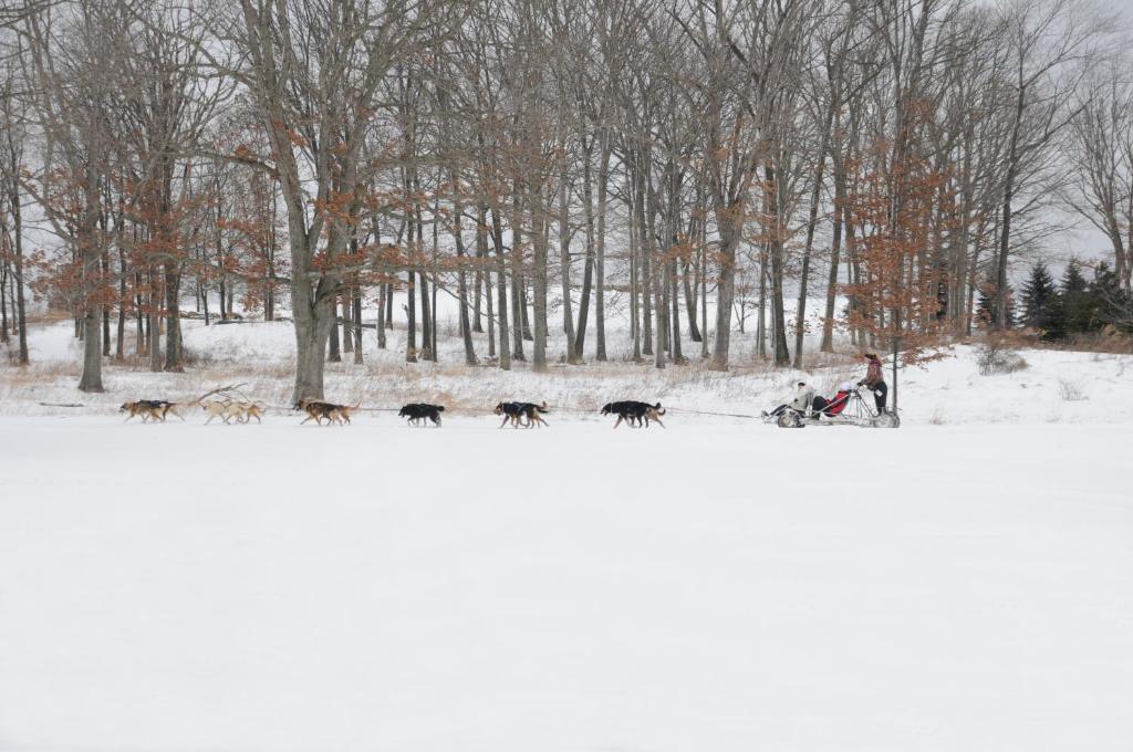 Nemacolin, Farmington (updated prices 2025)