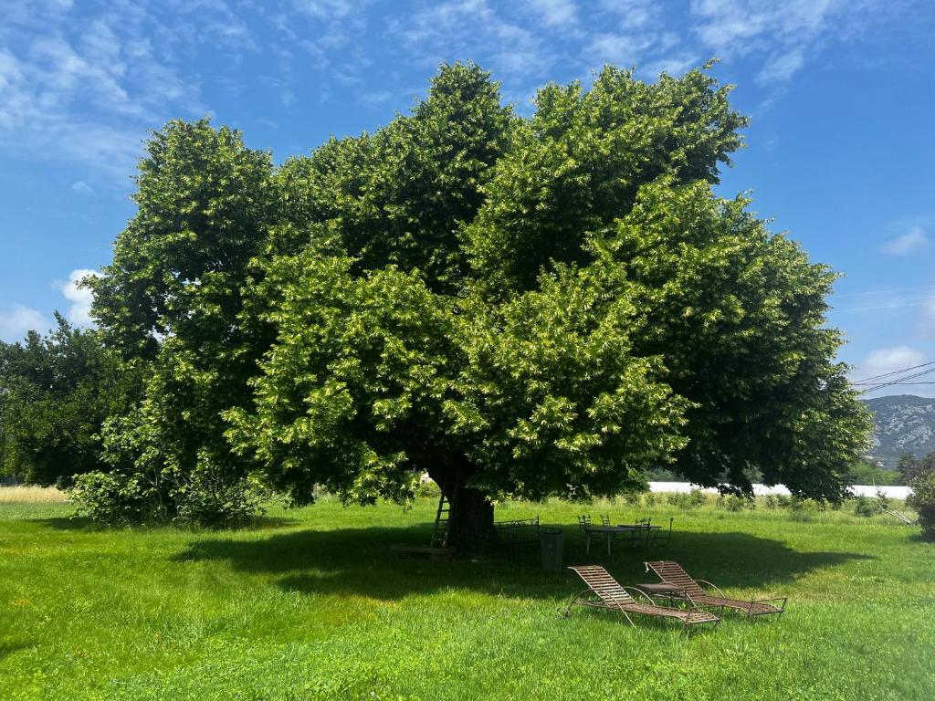 Rome vieille, Villeneuve (prezzi aggiornati per il 2026)