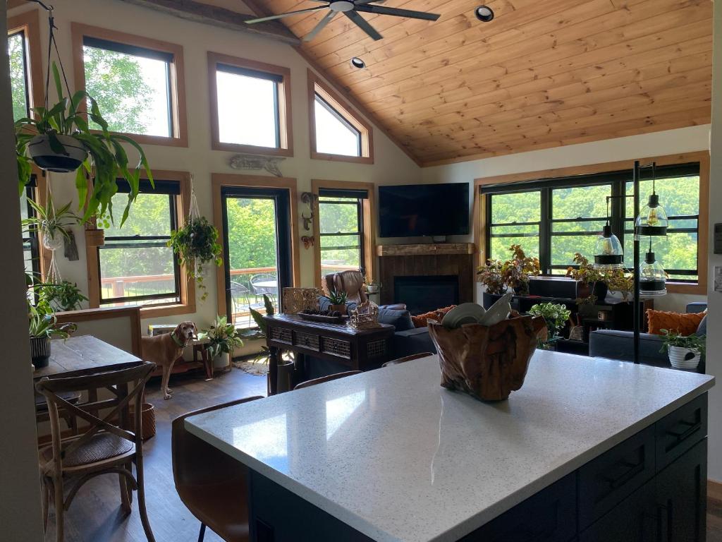 Dreamy Firefly Holler w Creek and Pond, Roan Mountain (preços ...