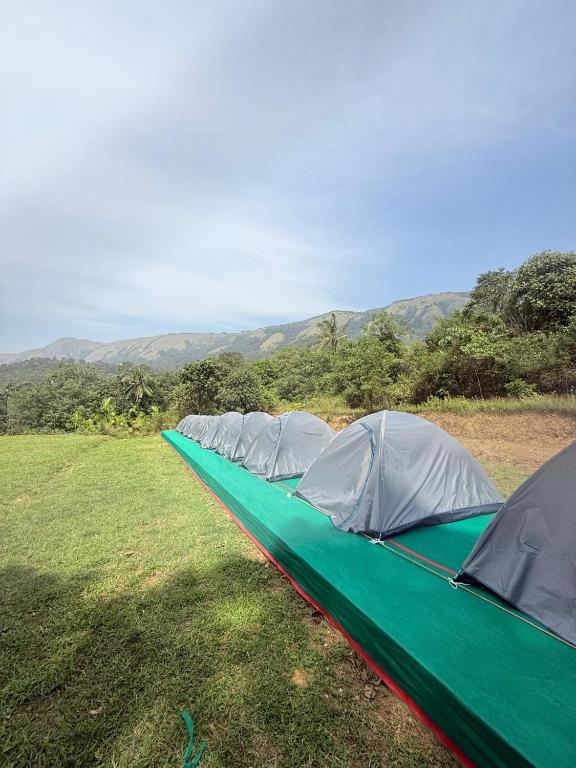 Calm coorg tent, Madikeri (updated prices 2026)