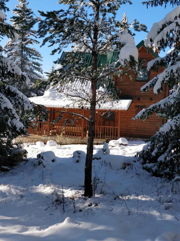 Vikendica Bianka u selu Uskoci, Žabljak (updated prices 2026)