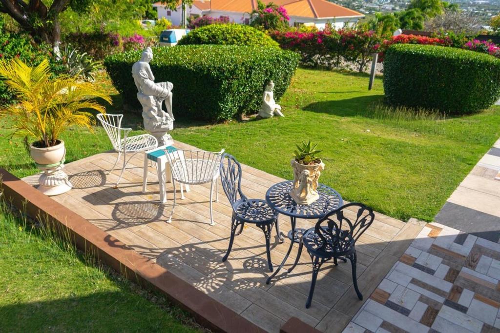 Vanda, São João (preços atualizados de 2026)