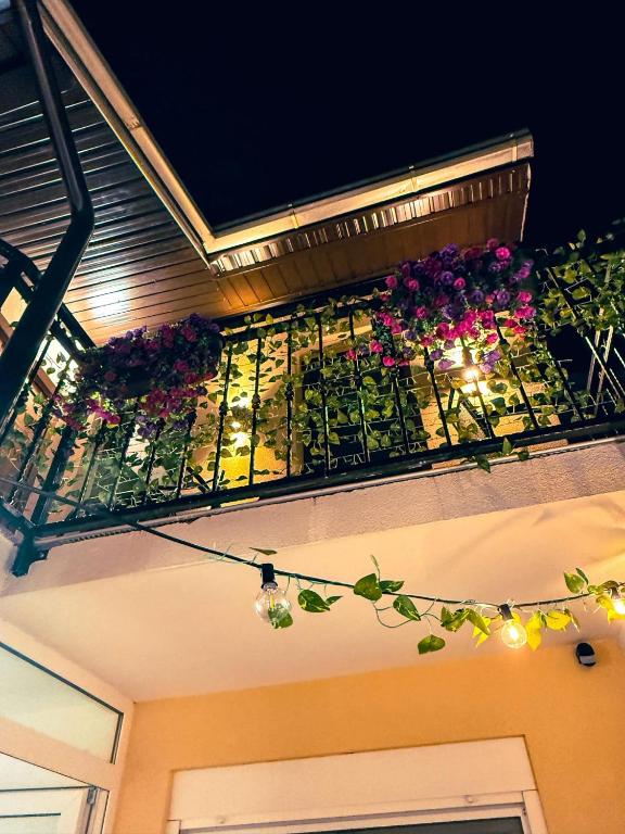 Melrose, Мостар (актуальные цены 2026 года)