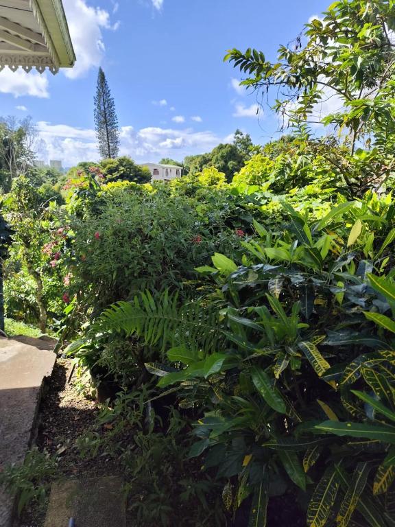 O' Ti Palmier, Quartier Dabadie (preços atualizados para 2026)