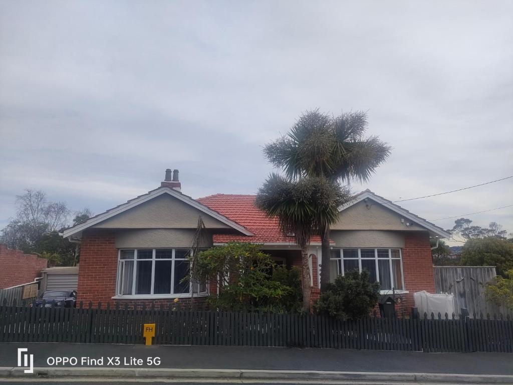 The Welcome House meet Daisy the golden retriever, Dunedin (updated ...