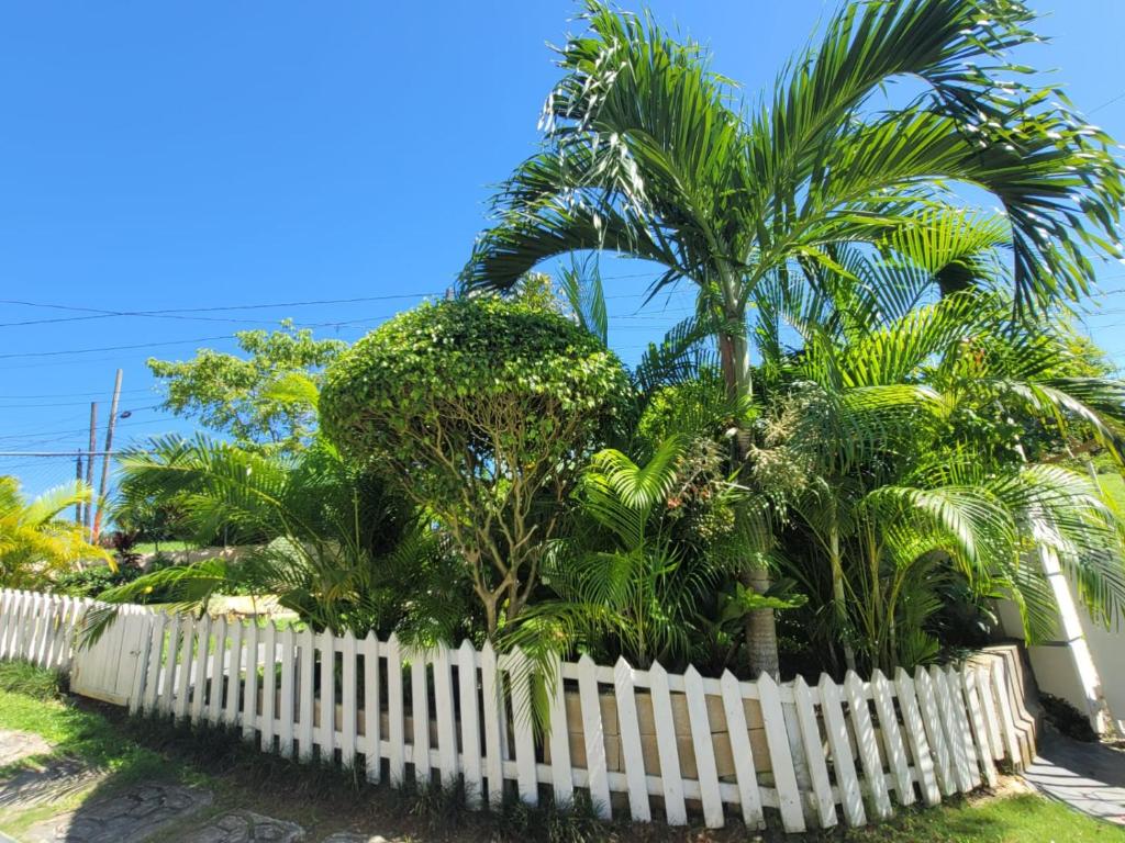 Palm Breeze Villa, Green Island (precios actualizados 2026)