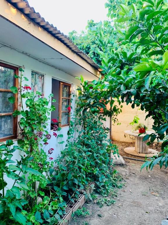 New House near Ovalle Trees and Large Patio, Ovalle (precios ...