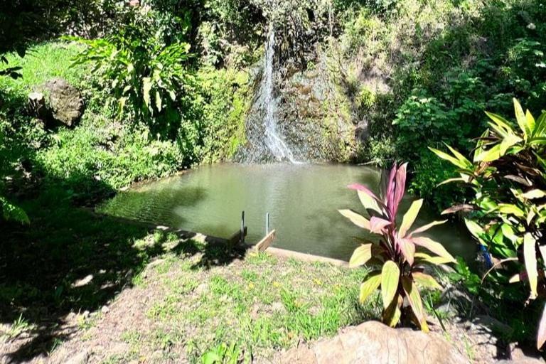 Atihiva的Oasis nature et cascade privée（2026 年最新房價）