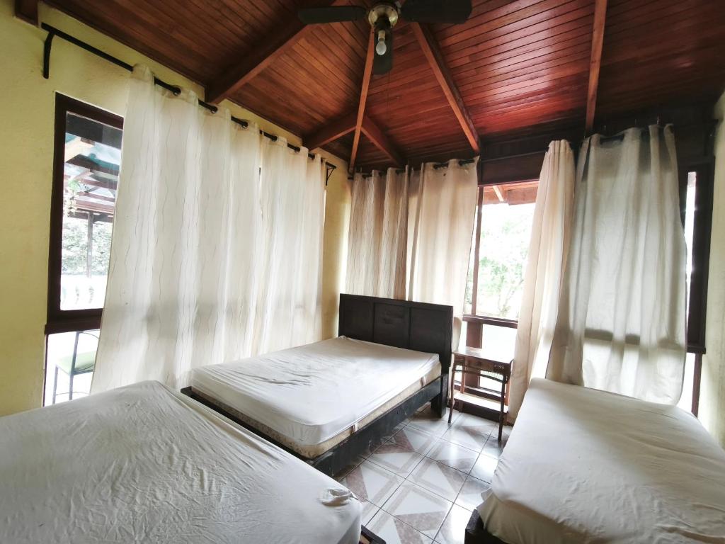 3rd Floor Hostel House of the Macaws, No AC, only cash,sharing rooms ...