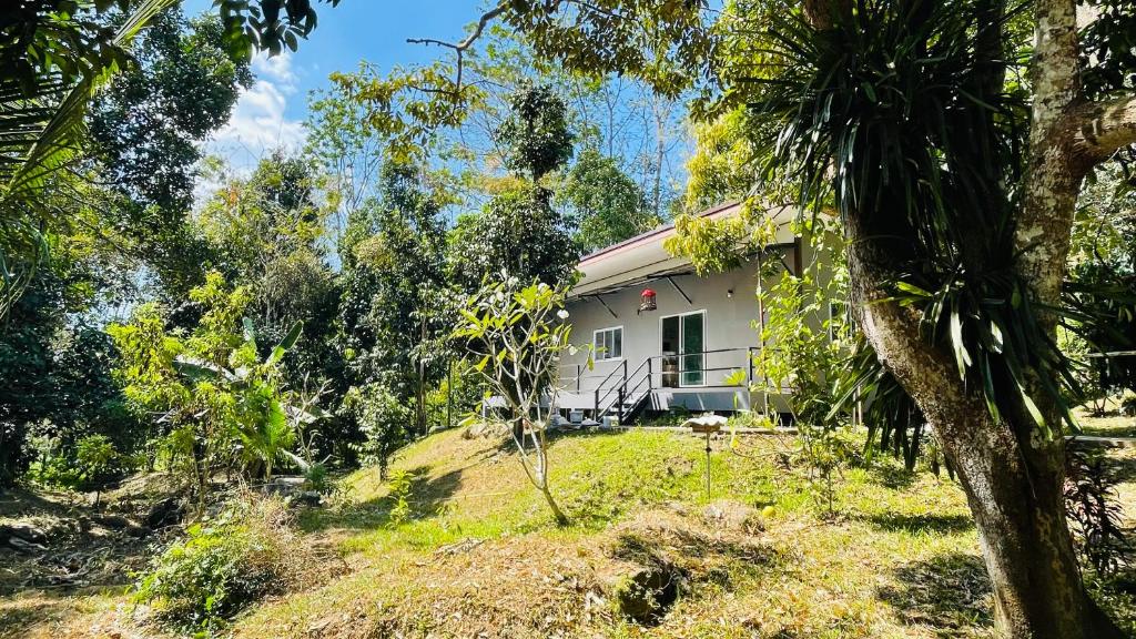 House Party of Lee, Ban Huai Sai (preços atualizados de 2026)