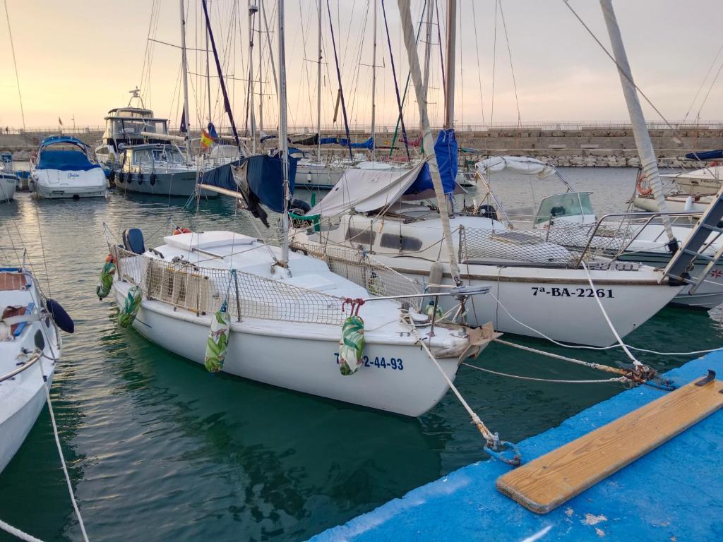 Jack Sparrow, Puerto de Gandía (bijgewerkte prijzen 2026)