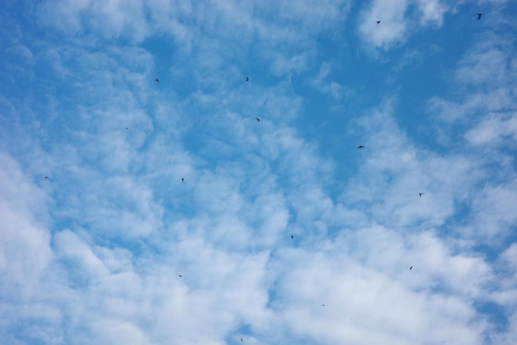 Aqua Soul de Pakbara, Ban Pak Ba Ra (2026. aasta uuendatud hinnad)