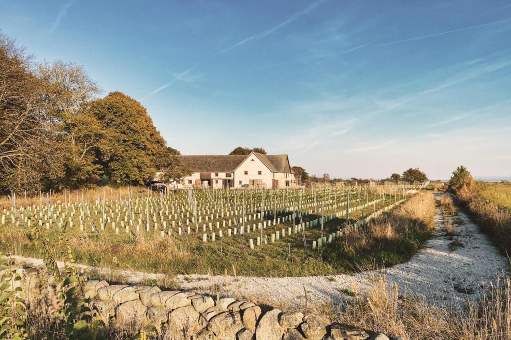 Botrajvs Vin & Logi, Burgsvik (updated prices 2026)