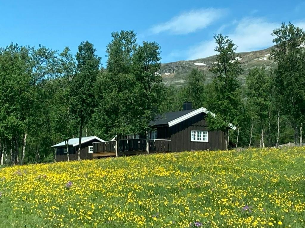 Simple Mountain Cabin Near Vinstra, Vinstra (updated prices 2026)