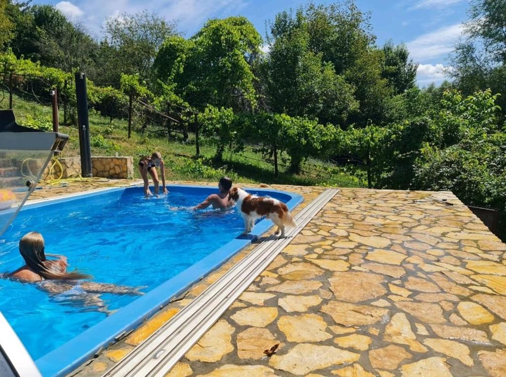 Villa Forest, silene and stars, Boldogasszonyfa (tarifs actualisés, 2026)