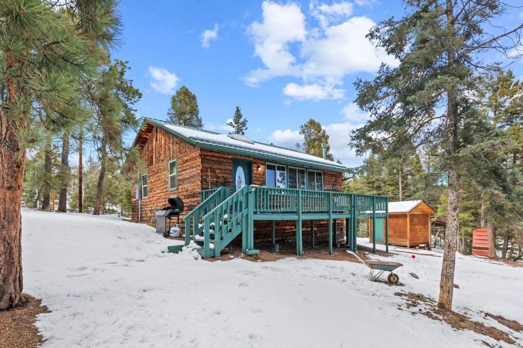 The Woodland Bear Cabin near National Forest, Woodland Park (tarifs ...