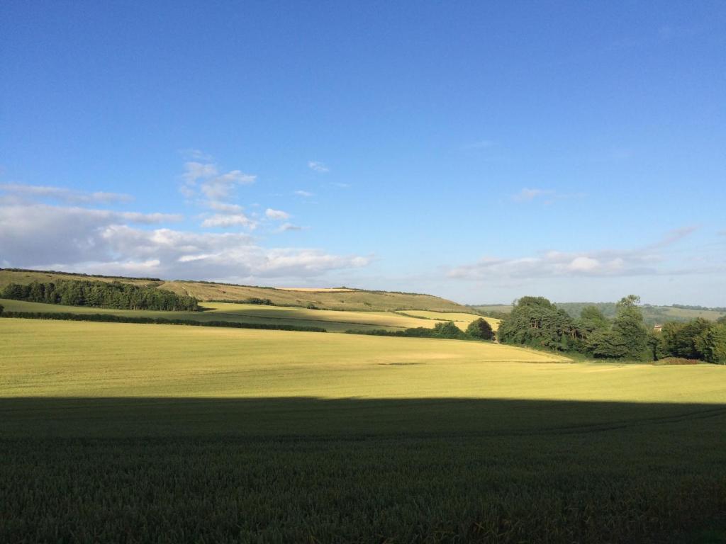 Higher Melcombe Manor, Ansty (updated prices 2025)